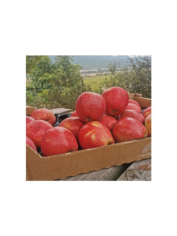 Caja de 4kg. de Manzanas Red Delicious