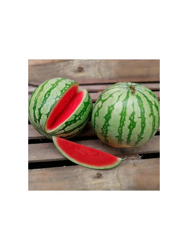Sandía rayada sin pepitas. Sandía de Xilxes
